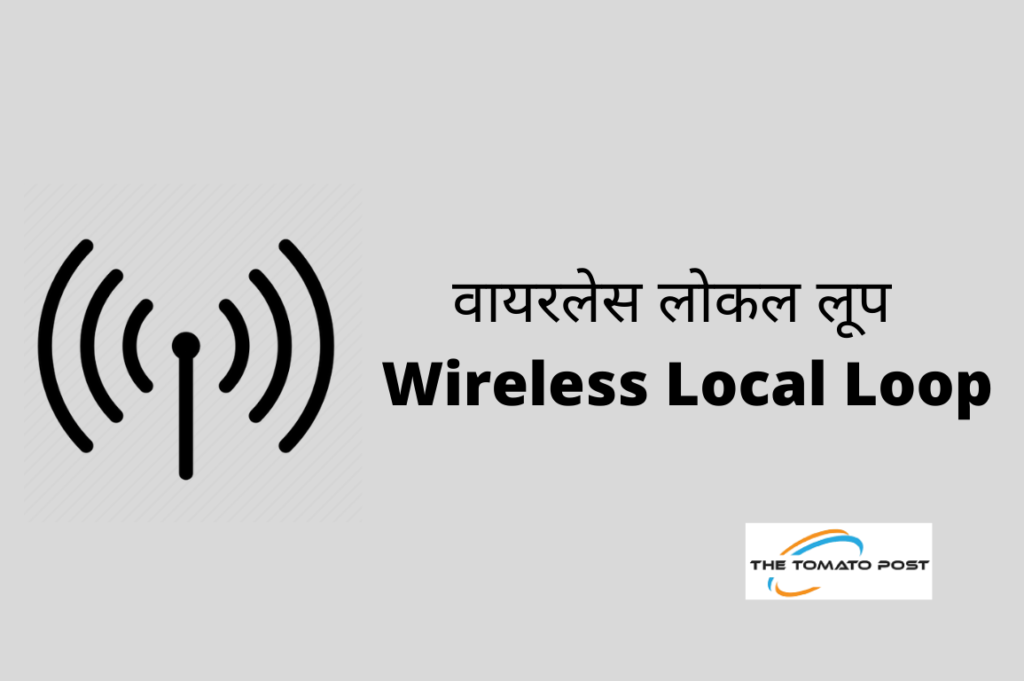 वायरलेस लोकल लूप | Wireless Local Loop - TheTomatoPost