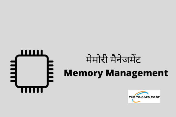 मेमोरी मैनेजमेंट | Memory Management - TheTomatoPost